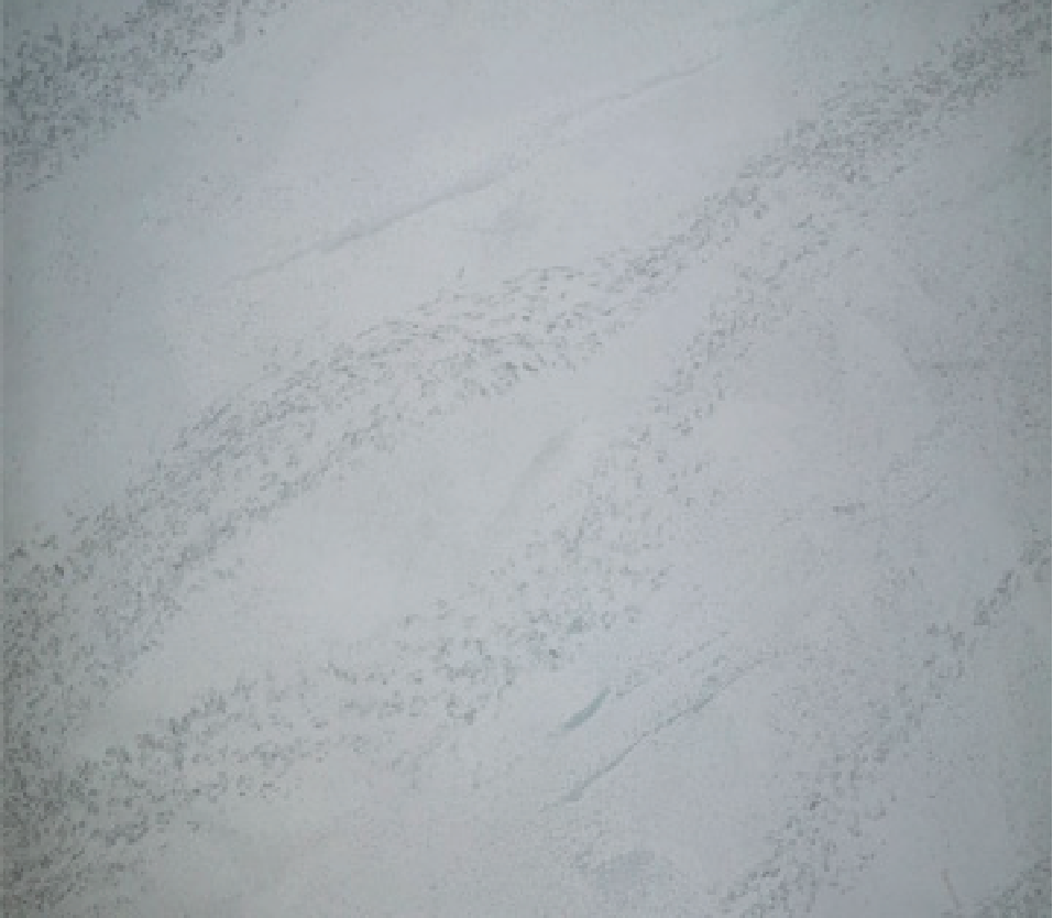 Products of Vasari India - Venetian Plaster & Lime Paint